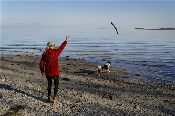 Millioner til de danske kyster - Avisen.dk